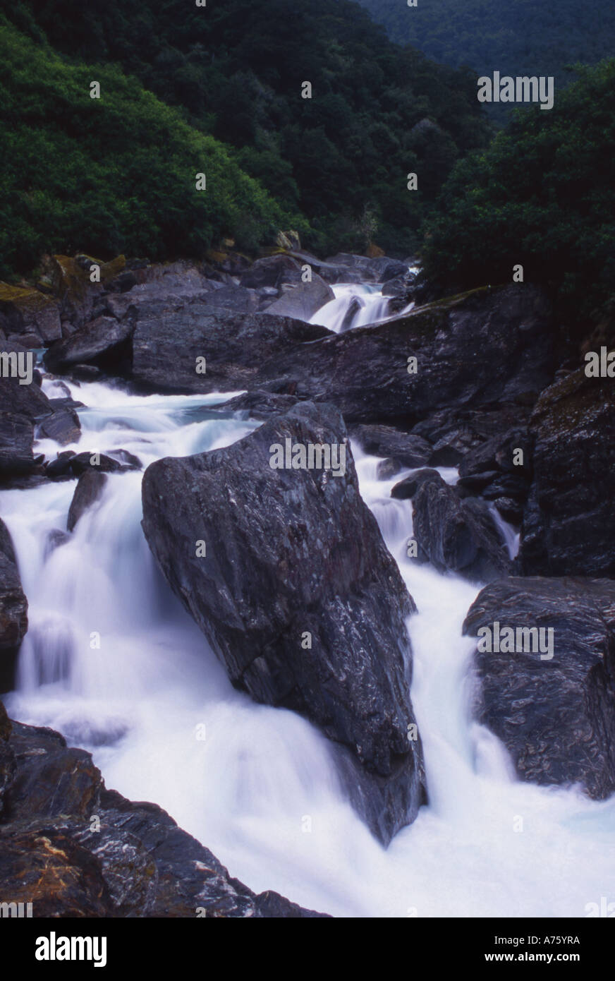 The Gates of Haast Mt Aspiring National Park South Island New Zealand ...