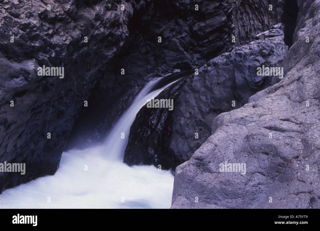 Kaimanawa forest park hi-res stock photography and images - Alamy