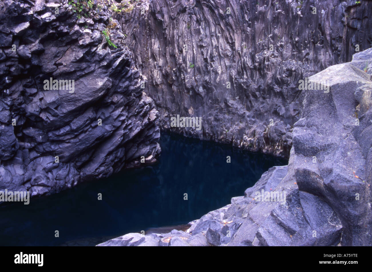Kaimanawa forest park hi-res stock photography and images - Alamy