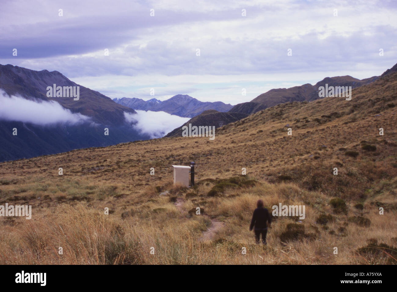 Hiker Tramper rushing to a Long Drop outback toilet Arthur's Pass ...