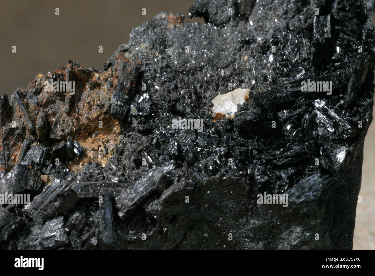 Amphibole crystal hi-res stock photography and images - Alamy