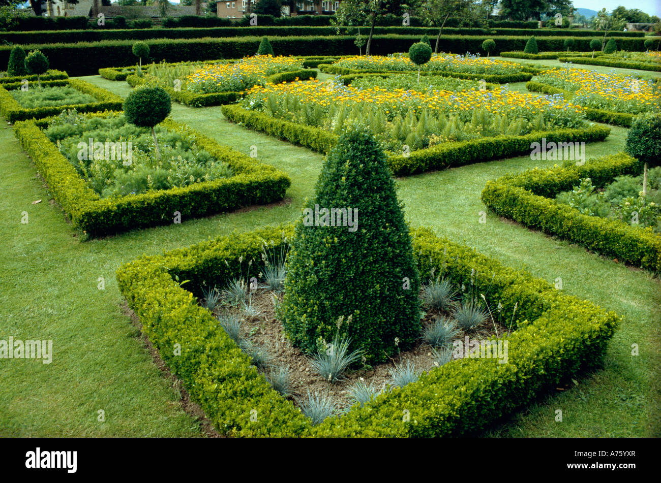 Clipped shrubs in large formal knot garden with low box hedges Stock ...