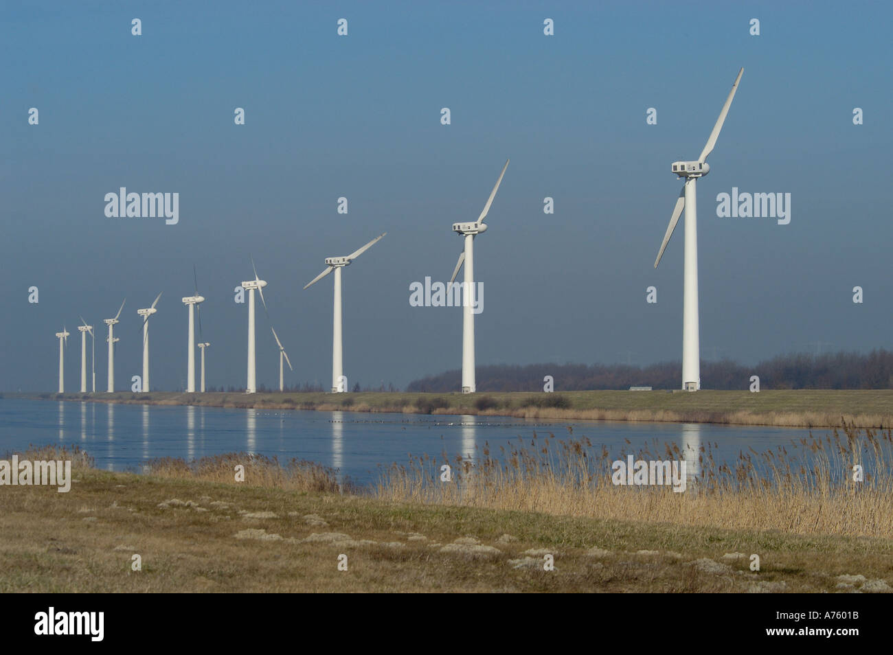 Wind turbine park Stock Photo - Alamy
