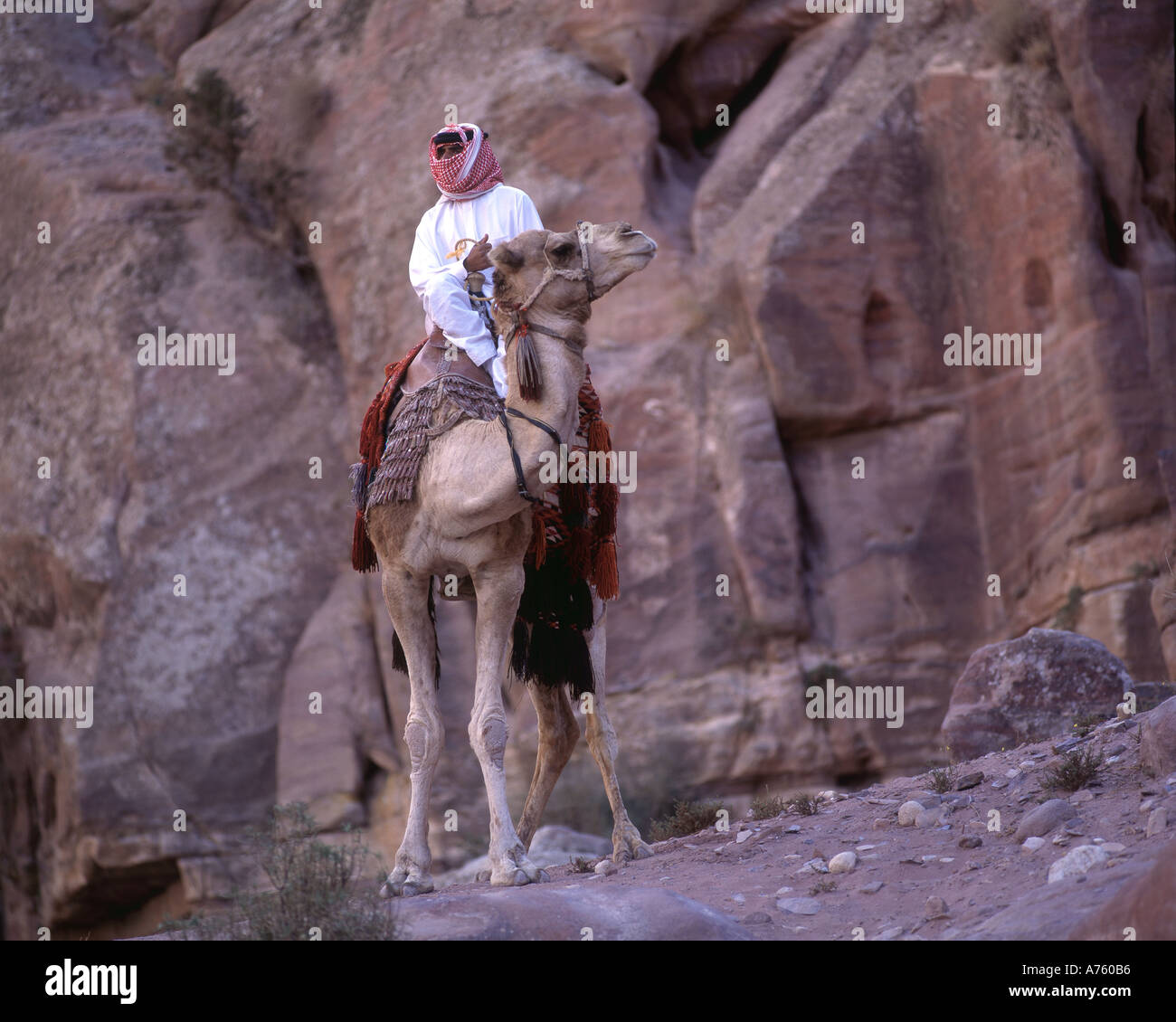 Bedouin Camel Rider Petra Jordan High Resolution Stock Photography and ...