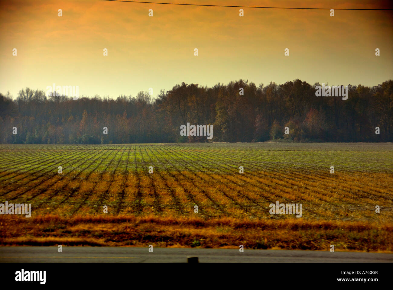 Sepia tone landscape hi-res stock photography and images - Alamy