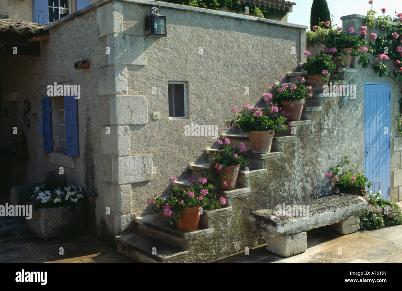 Pink geraniums in pots on outside steps above stone bench outside ...