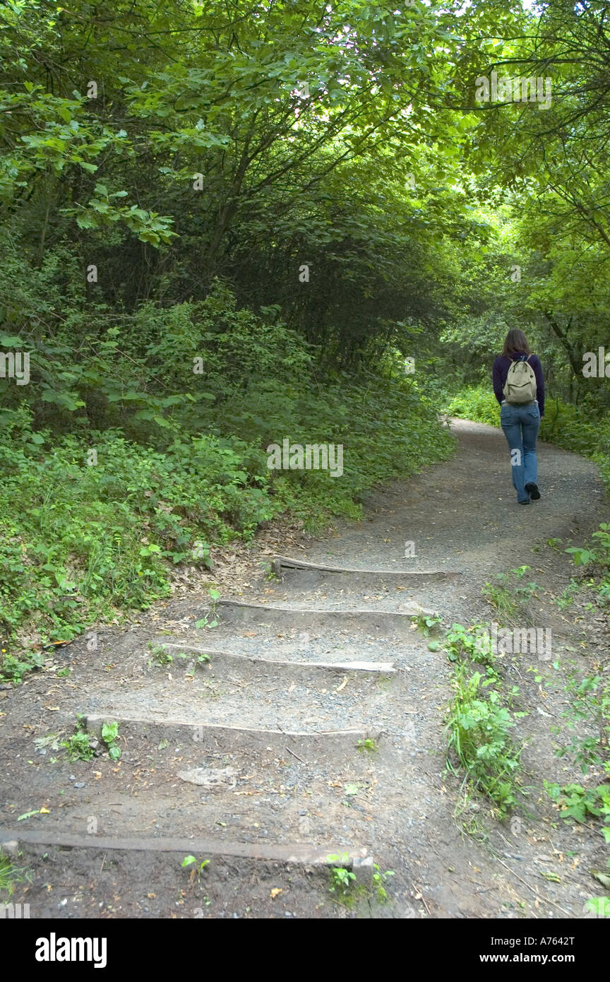 Stairs to the castle of HOLLOKO Nograd County Hungary Stock Photo - Alamy