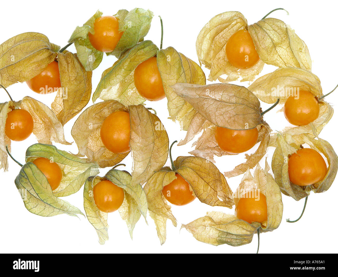 Chinese lantern fruit physalis Fruit Stock Photo - Alamy