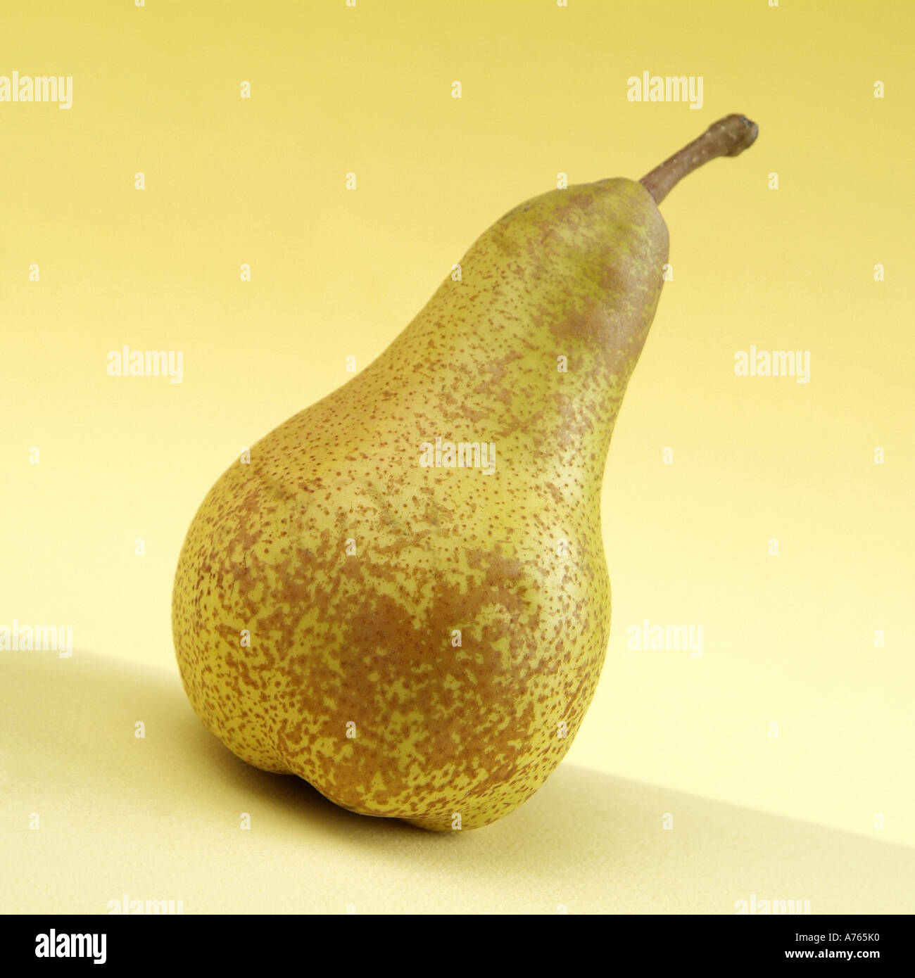 Square Pear Gallery