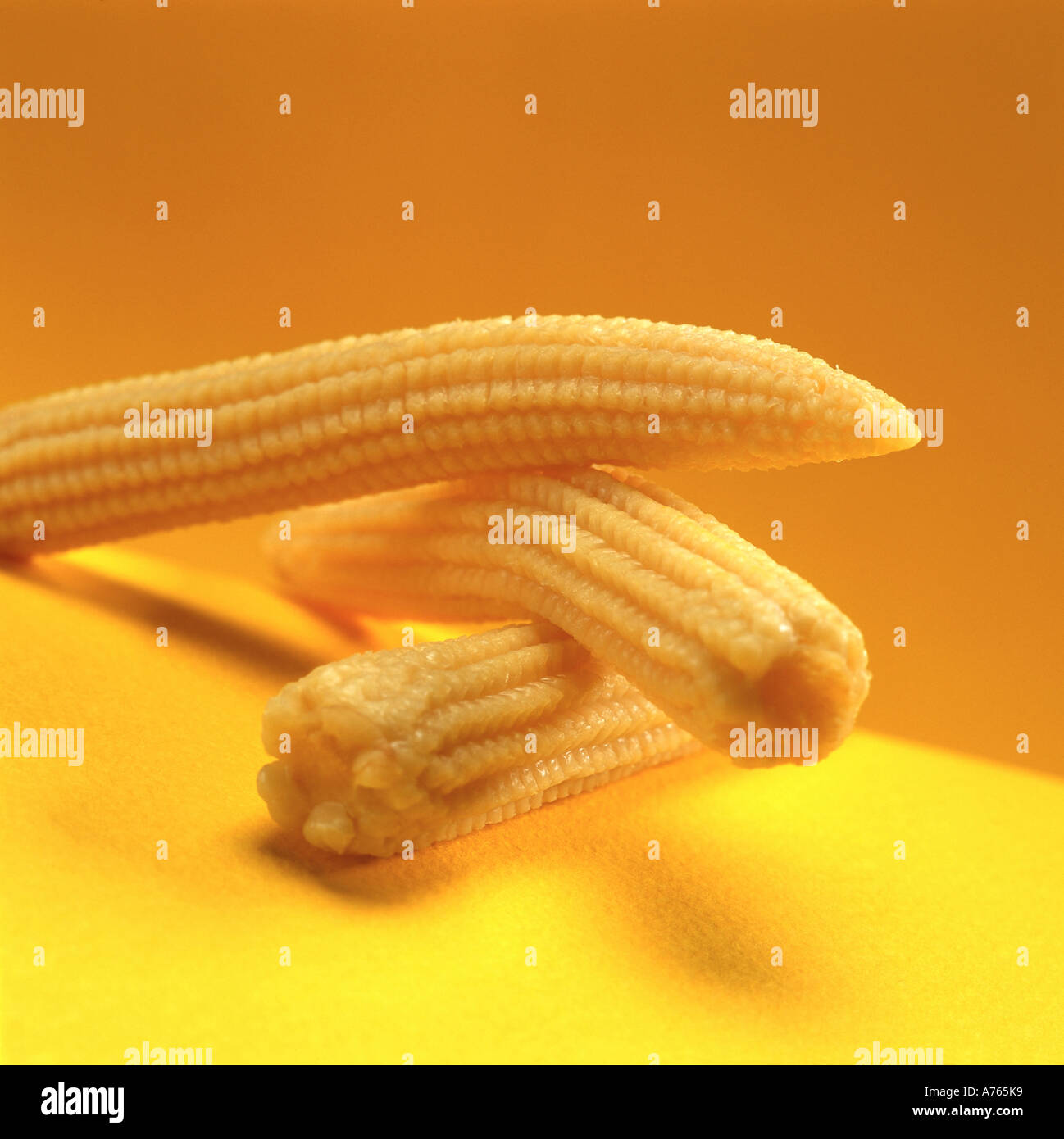 Baby corn farming hi-res stock photography and images - Alamy
