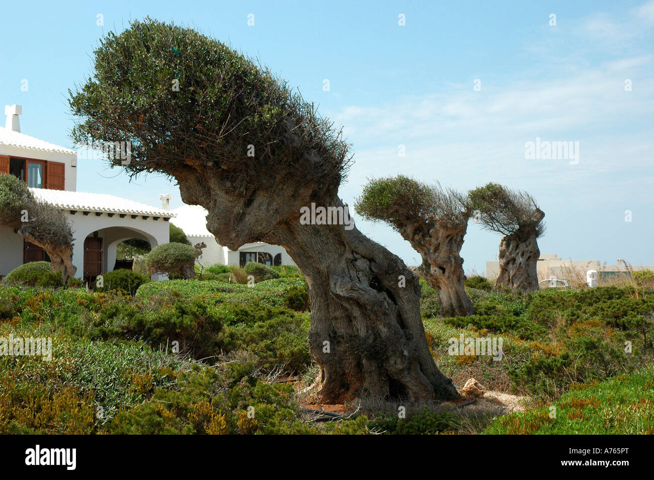 Islena High Resolution Stock Photography and Images - Alamy