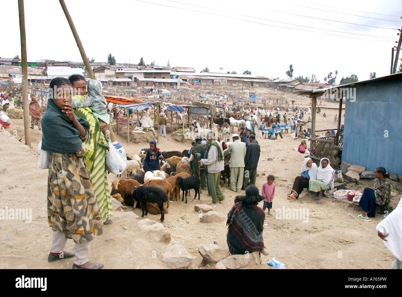 Debark town hi-res stock photography and images - Alamy