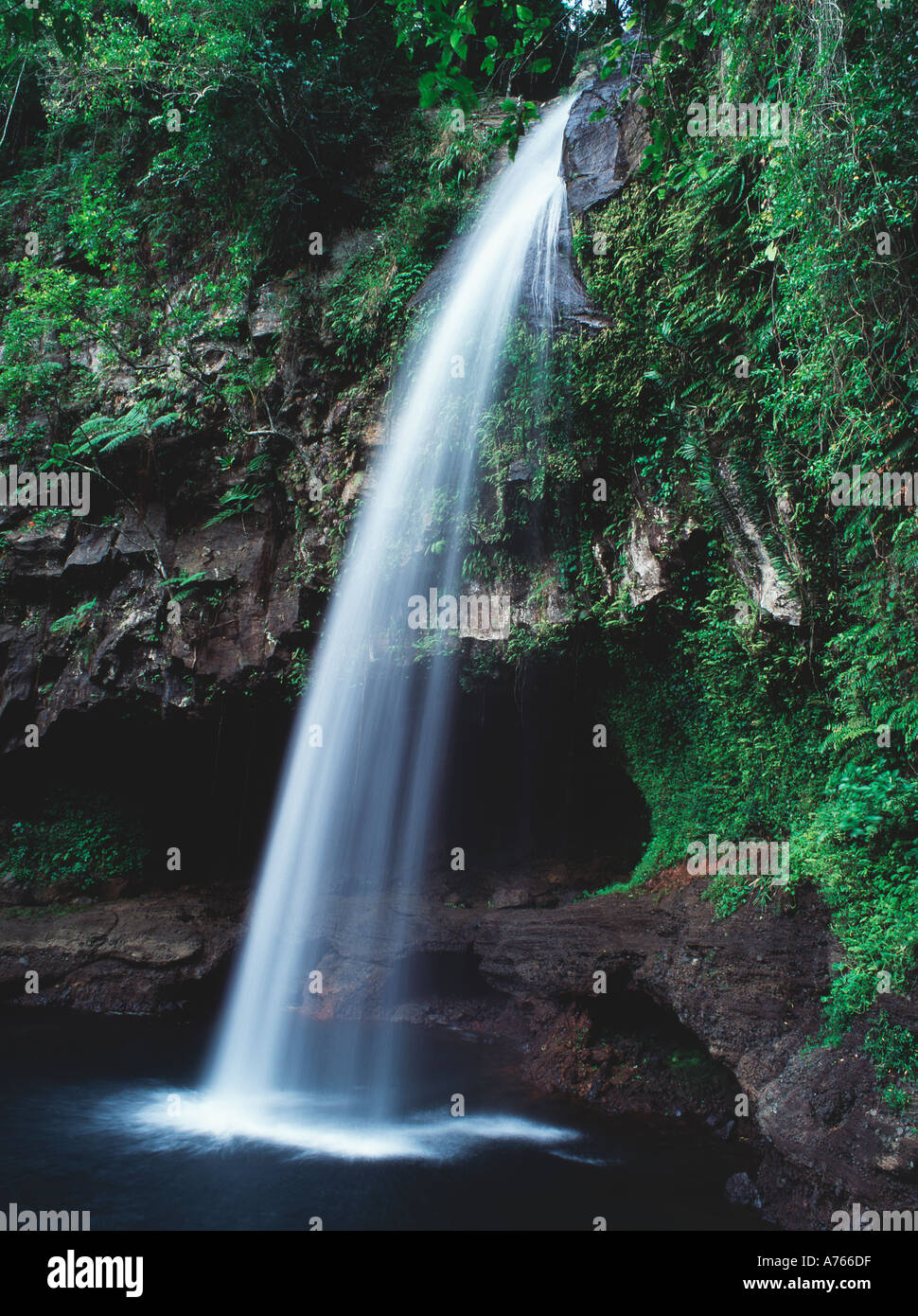 Taveuni fiji hi-res stock photography and images - Alamy