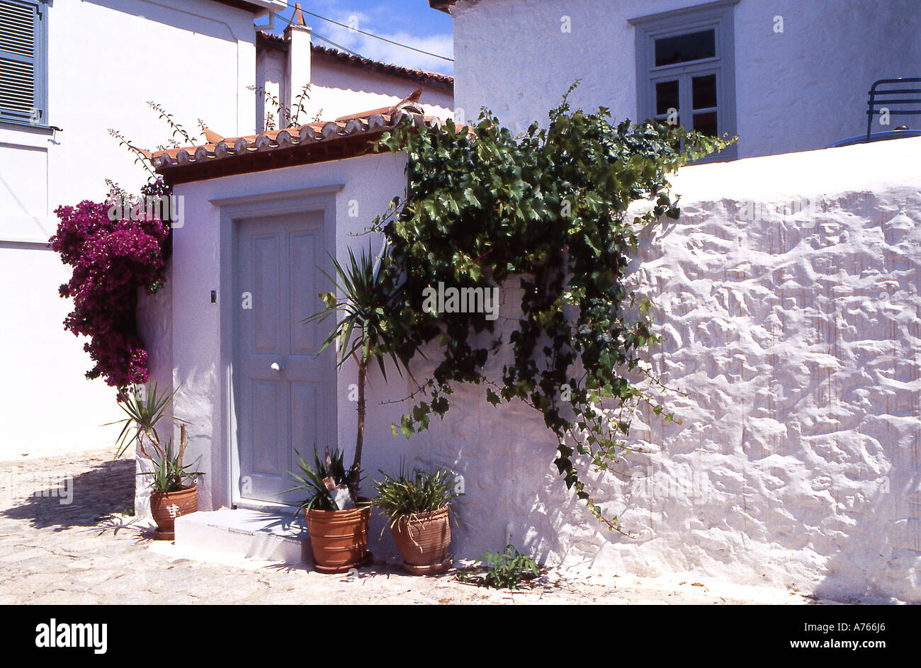 White tile blue pot hi-res stock photography and images - Alamy