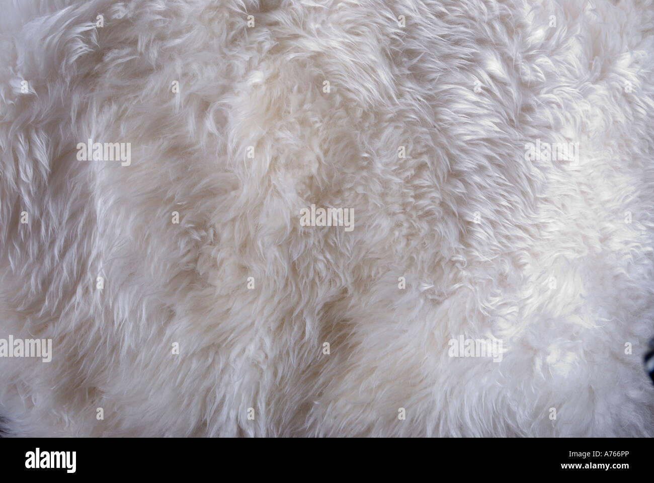 Fluffy structures hi-res stock photography and images - Alamy