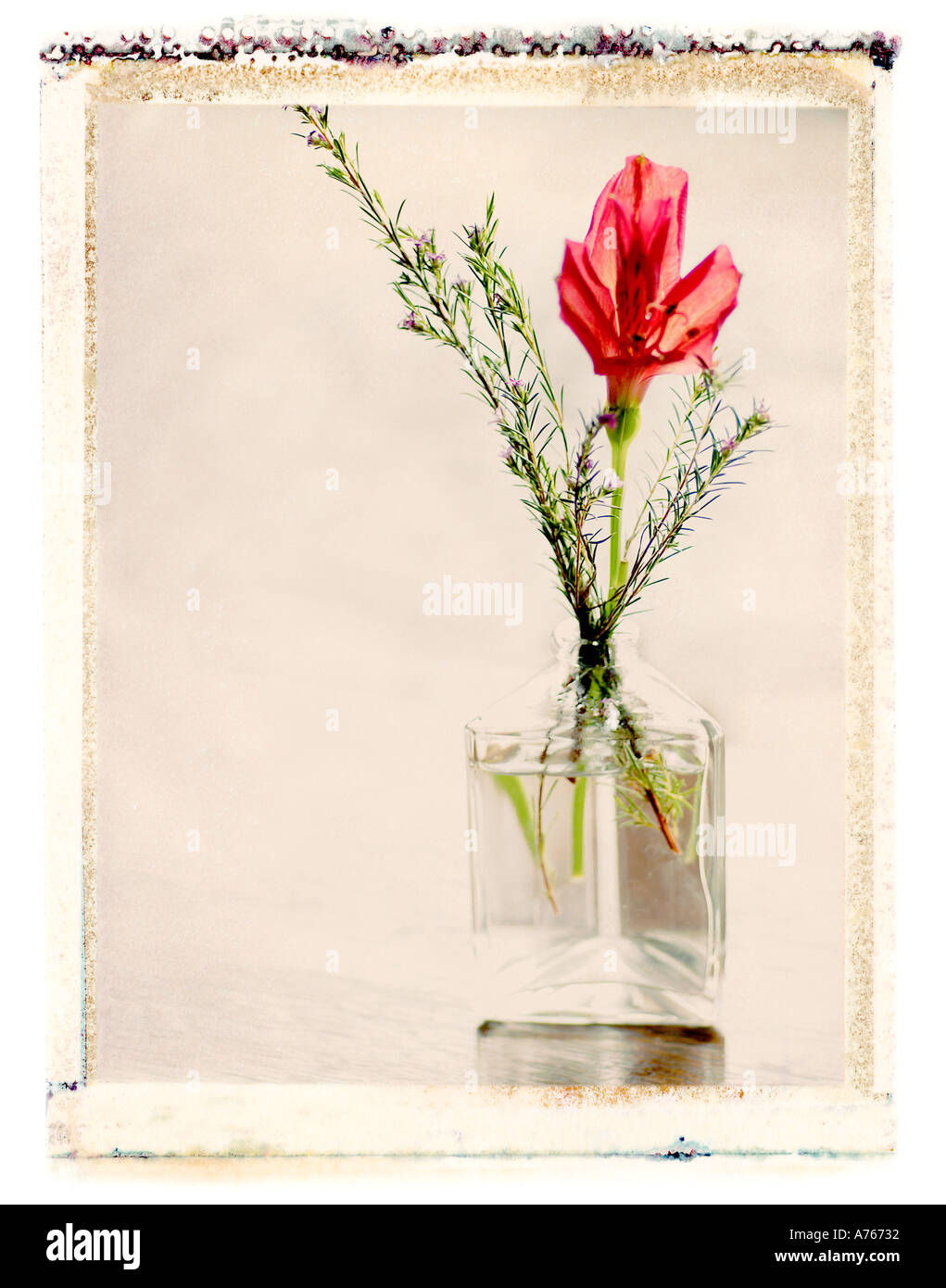 Nostalgic flower hi-res stock photography and images - Alamy