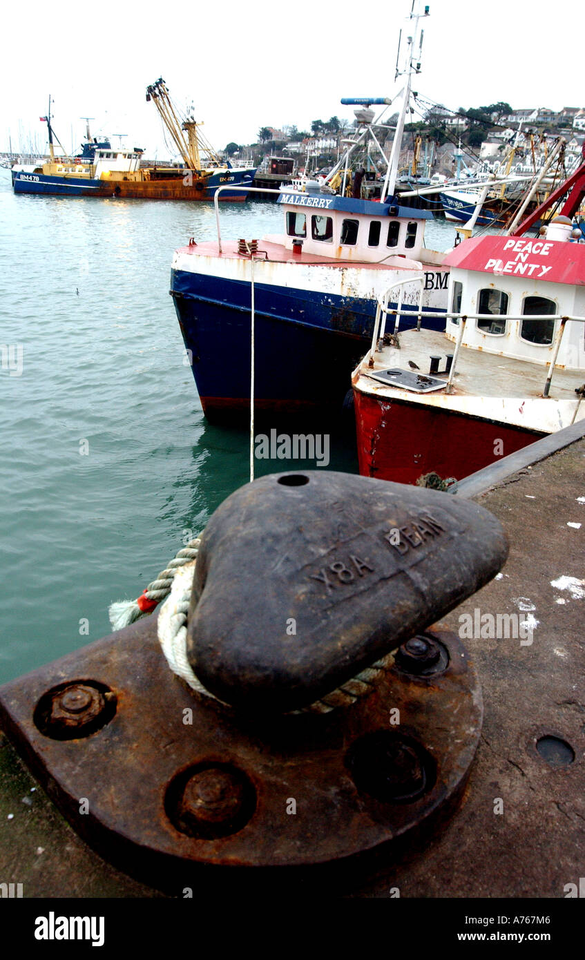 Brixham fish market, south Devon Stock Photo - Alamy