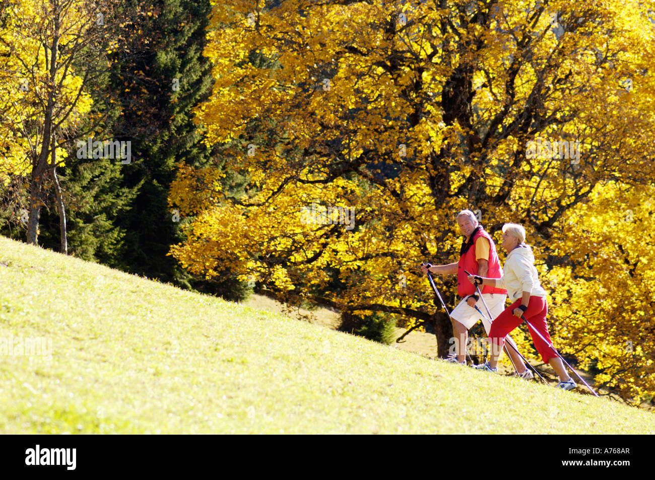 Senior couple Nordic walking, side view Stock Photo - Alamy