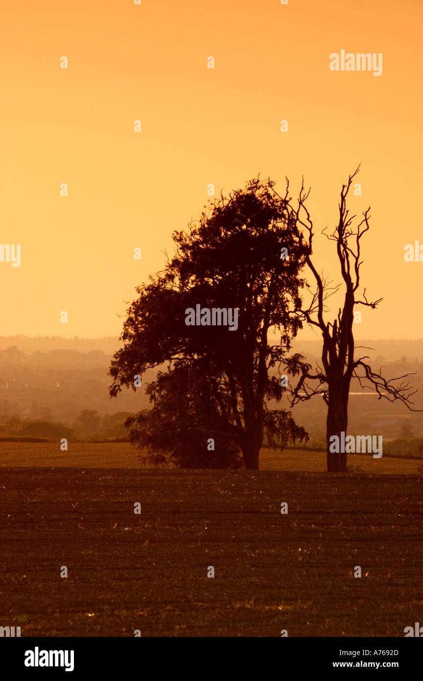 Ridgeway Sunset High Resolution Stock Photography and Images - Alamy