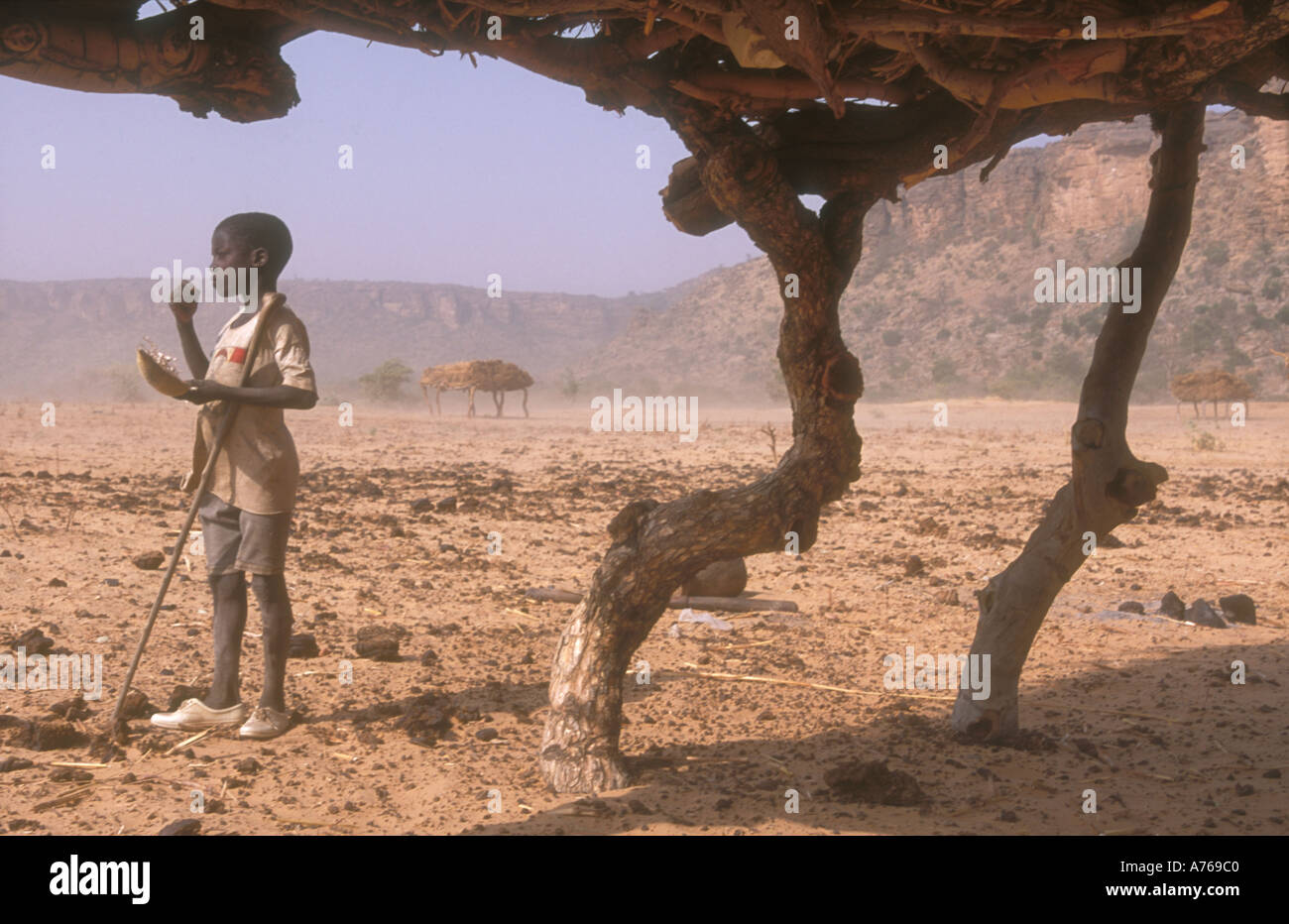 A Dogon boy eating baobab seeds beside a cattle shelter, near Tereli ...
