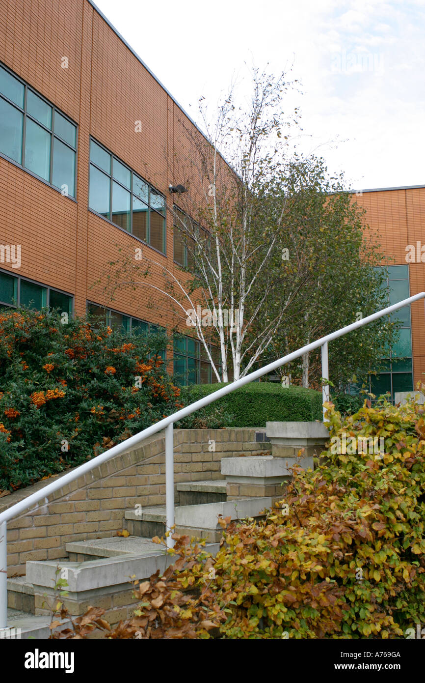 Thorpe Business Park Colton Leeds Offices and autumn colours Stock ...