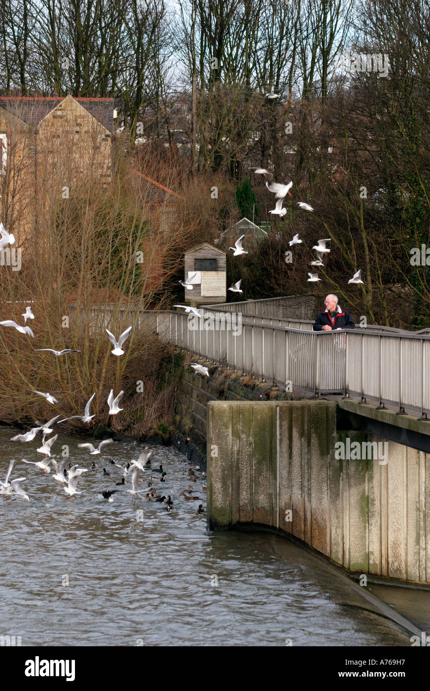 Worsbrough hi-res stock photography and images - Alamy