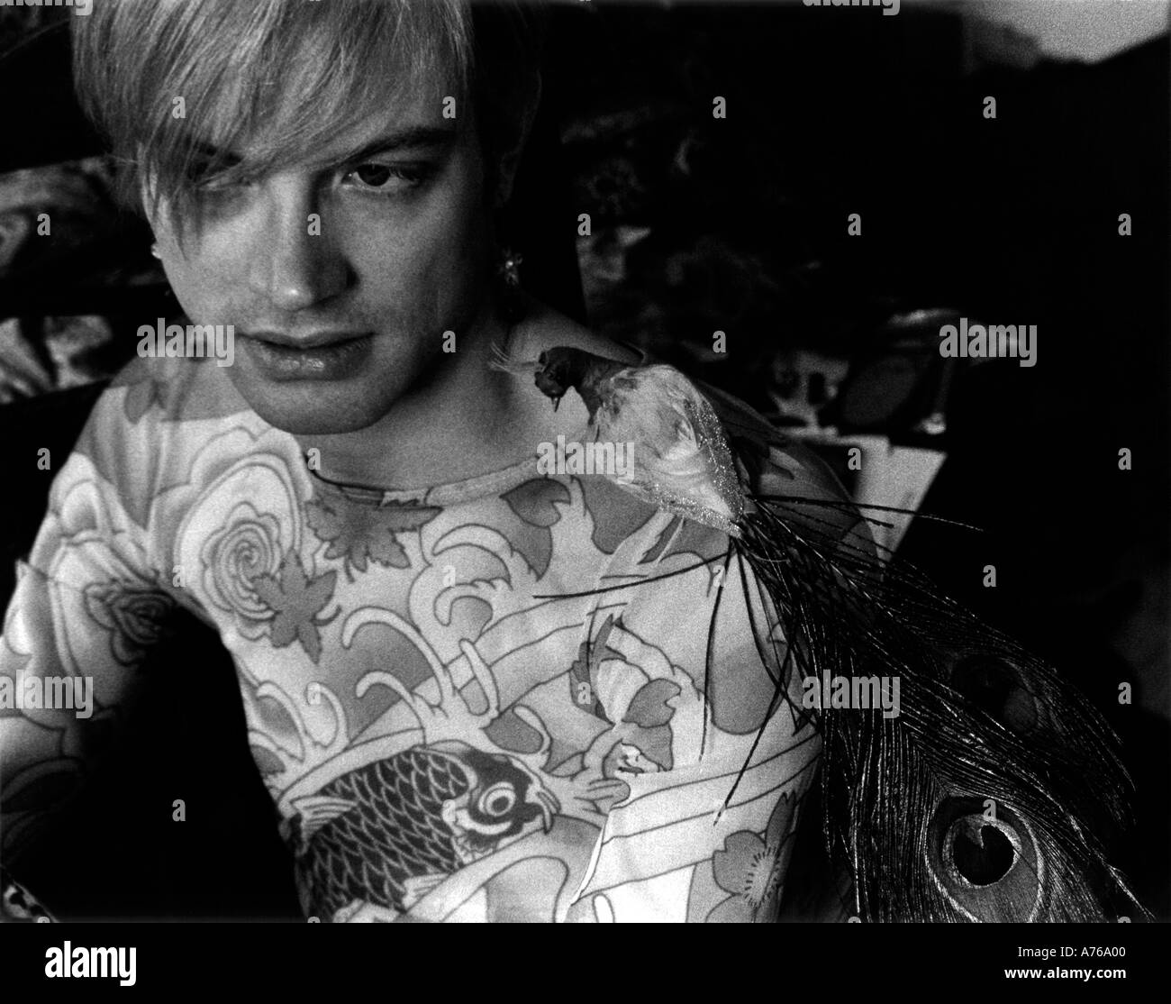 Male model with a peacock on his arm Stock Photo - Alamy