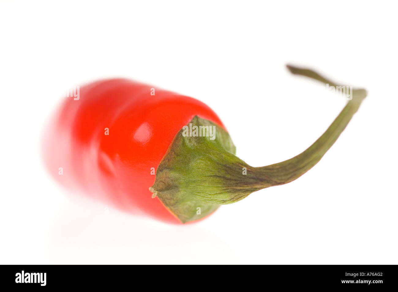 One bright red chilli on a pure white background Stock Photo - Alamy