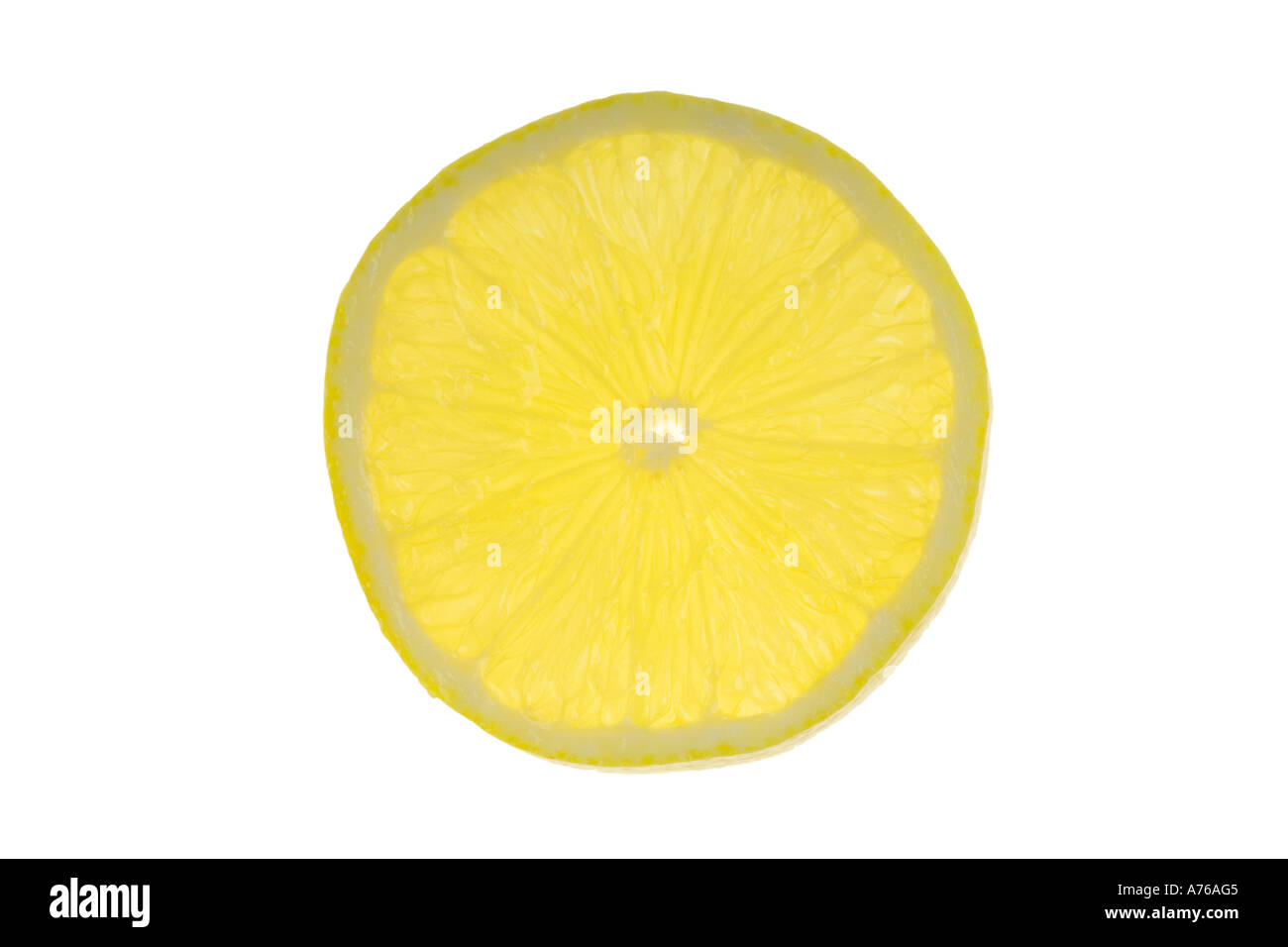 Round single slice of lemon on a pure white background Stock Photo - Alamy