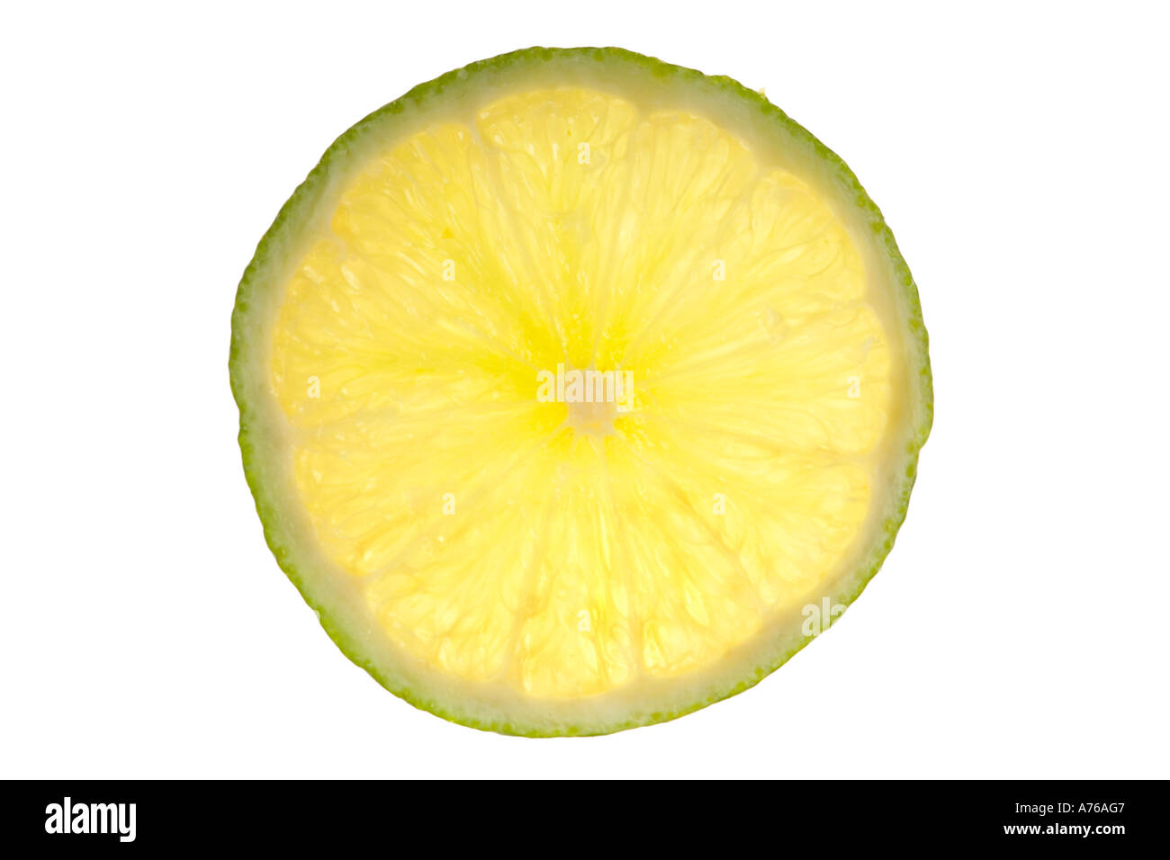 A single round slice of lime on a pure white background Stock Photo - Alamy