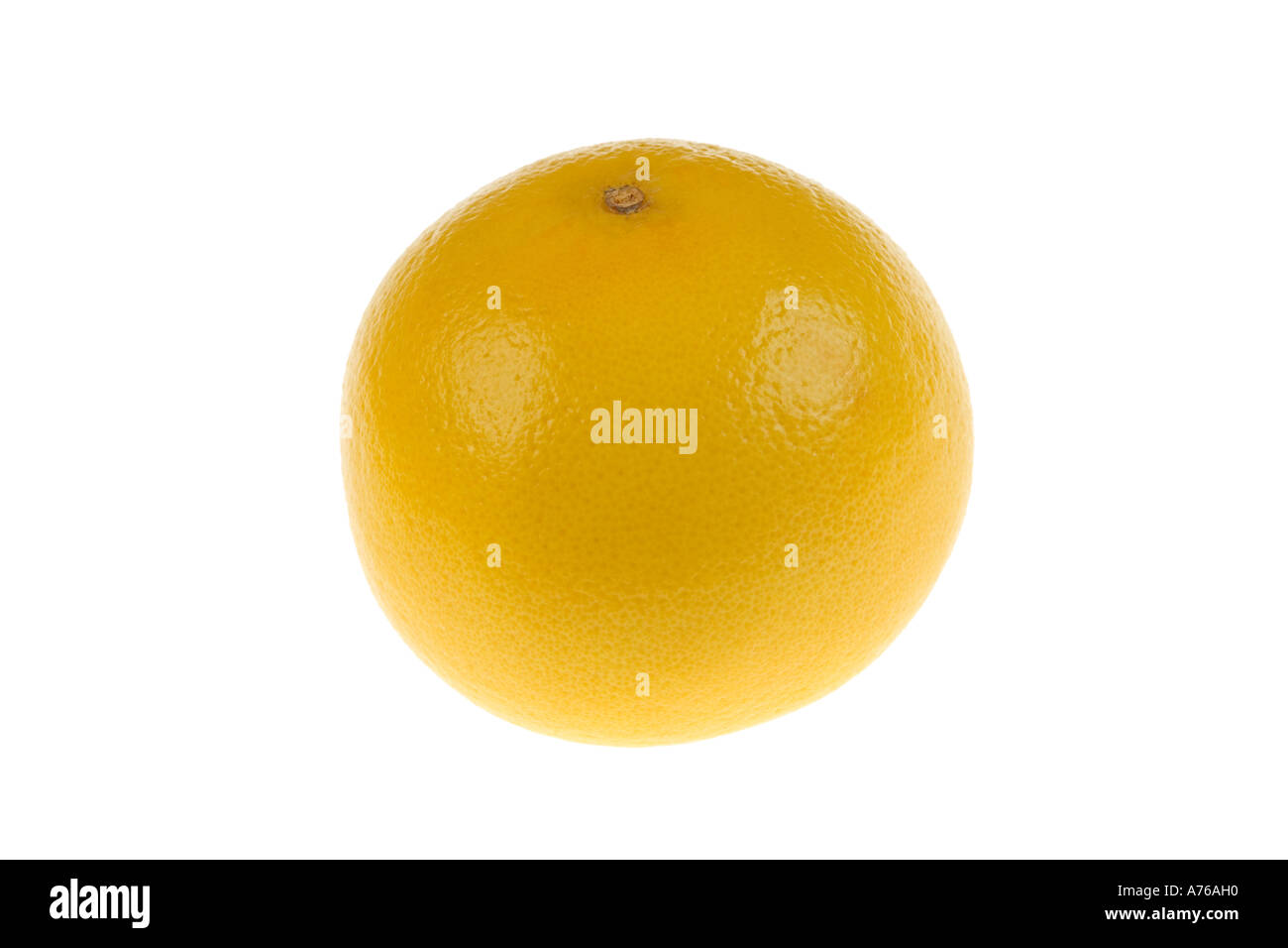 Single Whole Grapefruit on a pure white background Stock Photo - Alamy