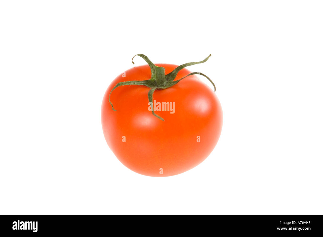 Single Red Tomato with stalk on a pure White Background Stock Photo - Alamy