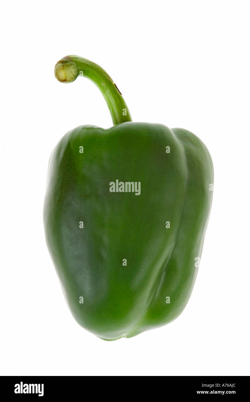 Whole green bell pepper on a pure white background Stock Photo - Alamy