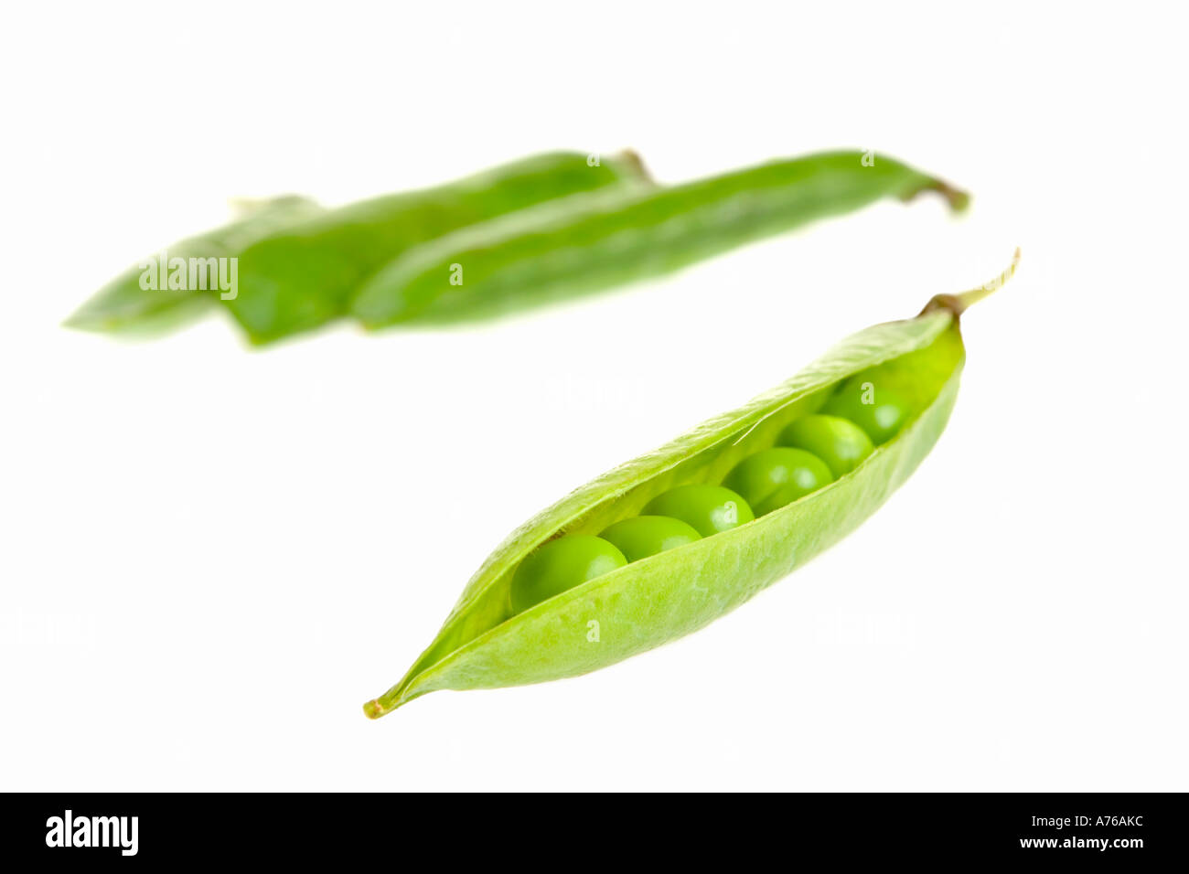 A pea pod split open exposing peas with three out of focus pods in the ...