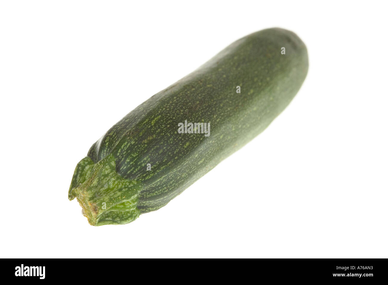 One courgette aka zuccini on a pure white background Stock Photo - Alamy