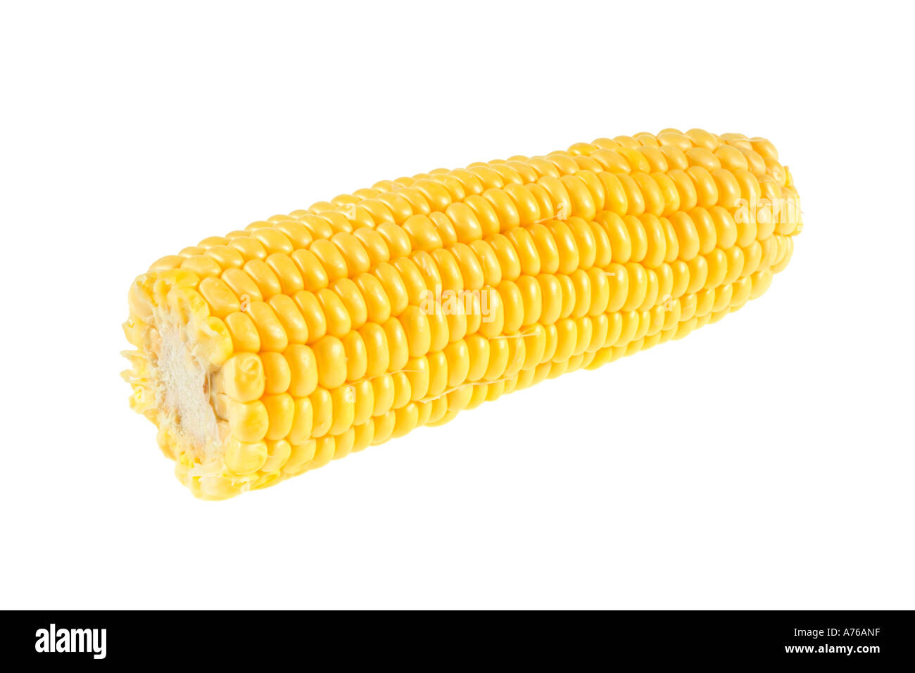 Whole ear of corn on the cob on a pure white background Stock Photo - Alamy
