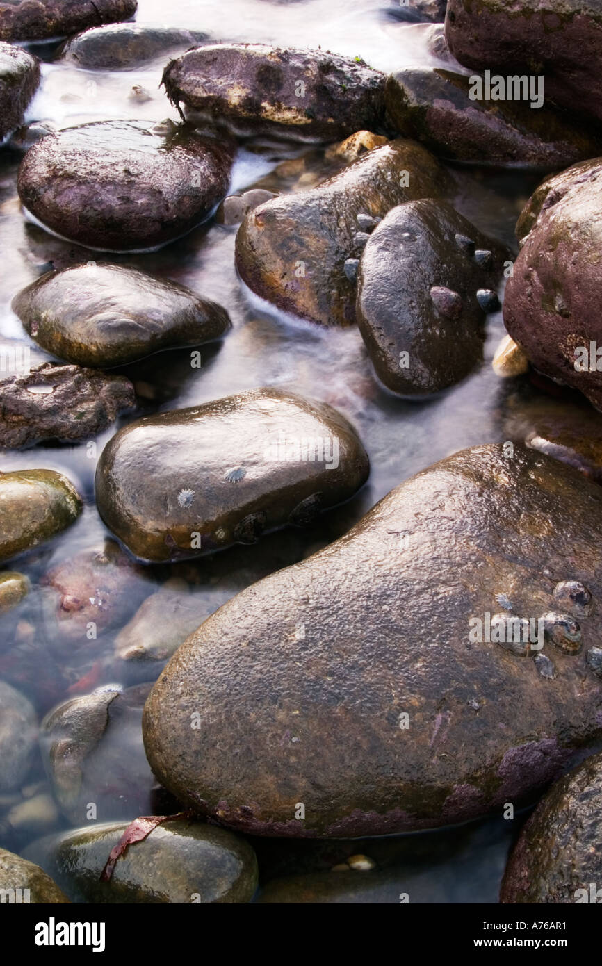 stone formation on beach Isle of Wight England 2005 Stock Photo - Alamy
