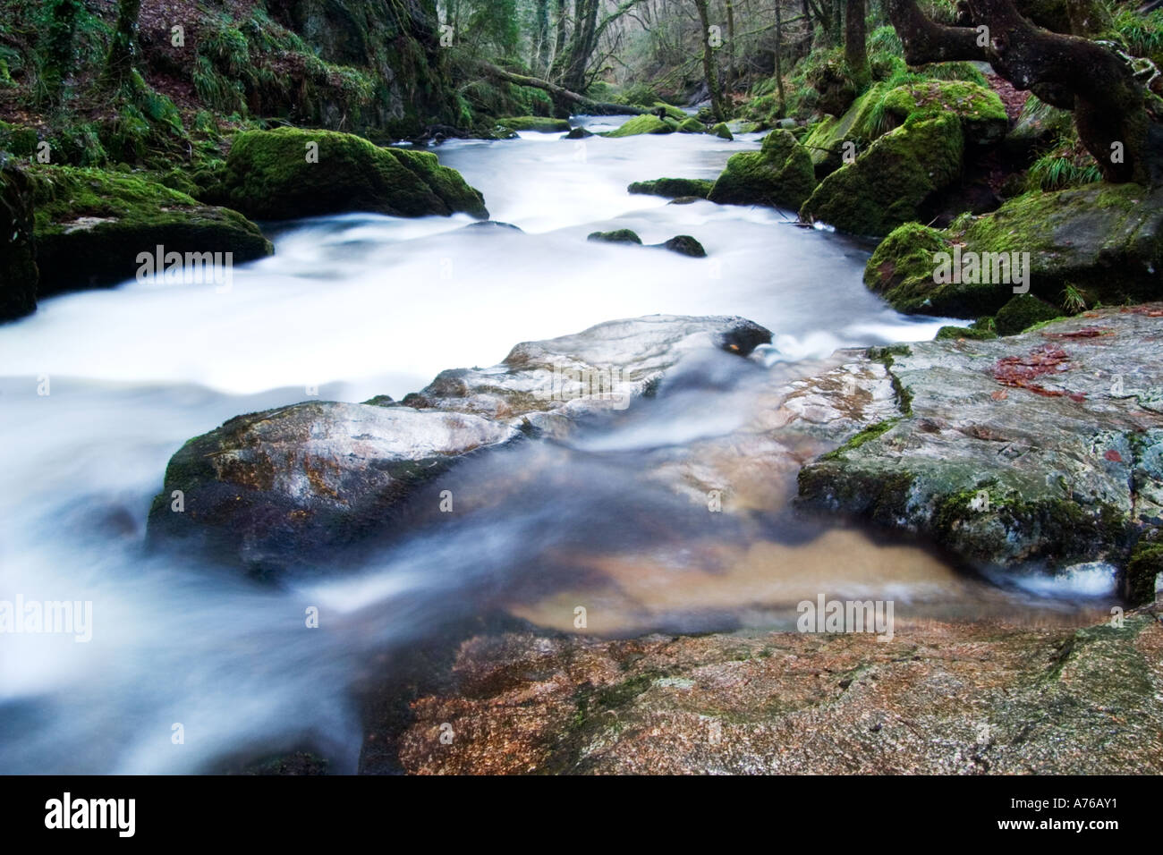 Golitha east cornwall hi-res stock photography and images - Alamy