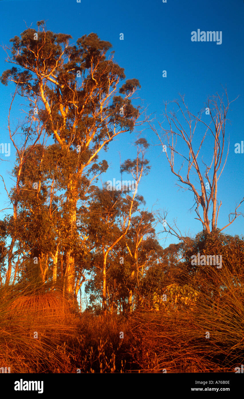 Avon valley national park hi-res stock photography and images - Alamy