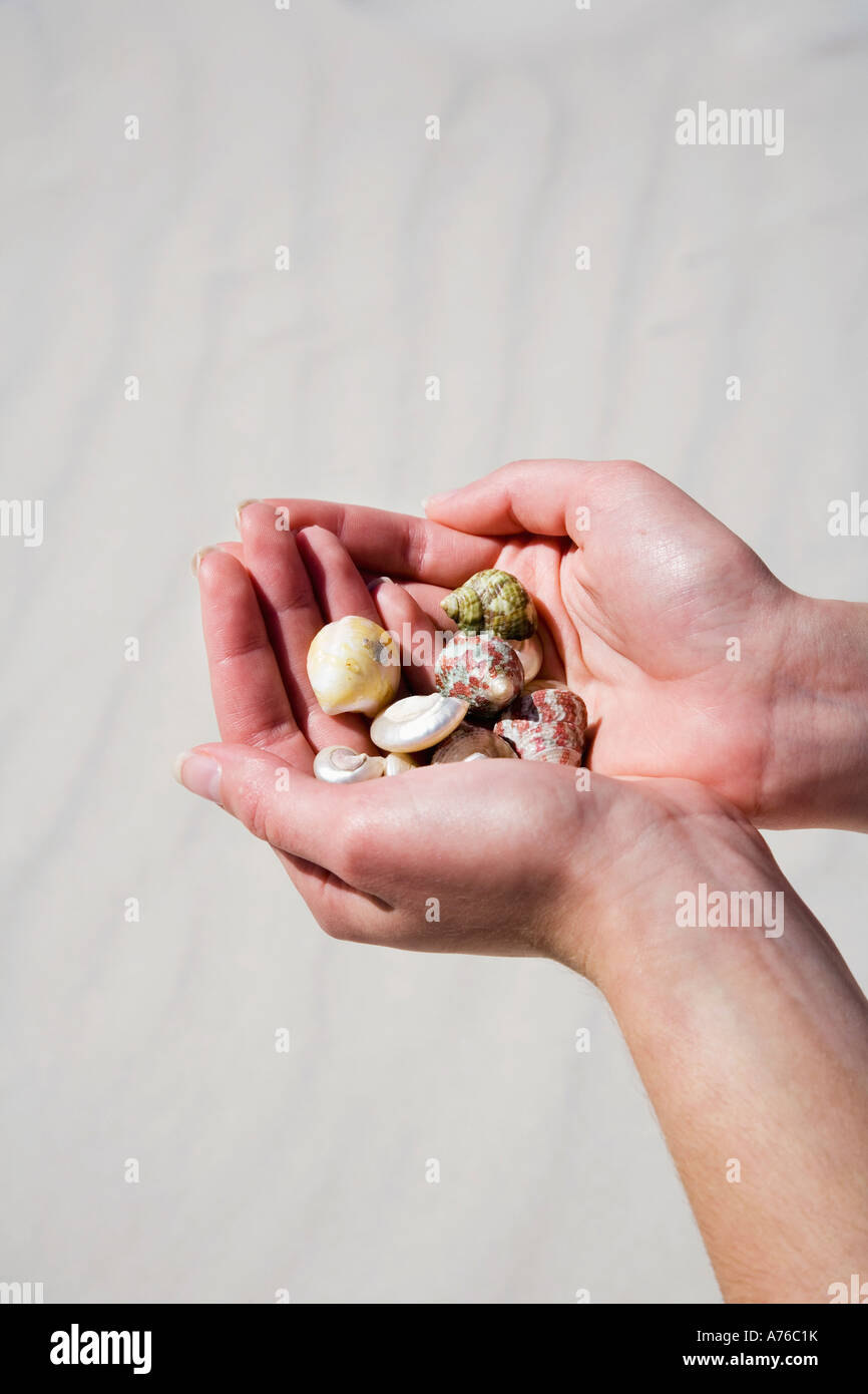 Woman holding sea- and snail-shells Stock Photo - Alamy