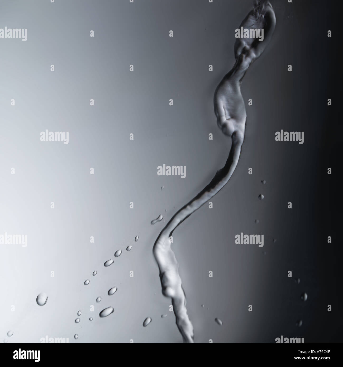 Guttae hi-res stock photography and images - Alamy