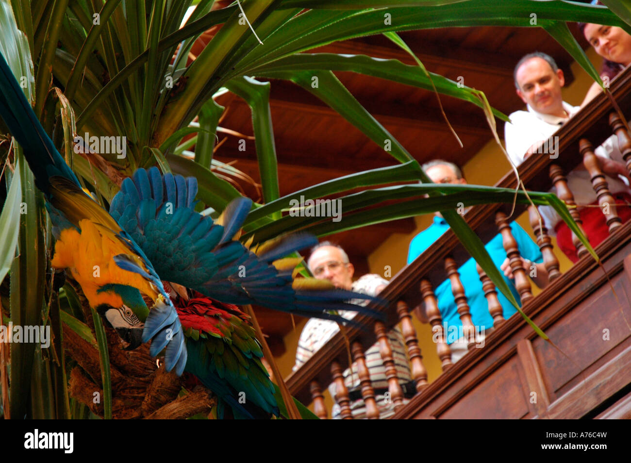 Casa museo colon hi-res stock photography and images - Alamy