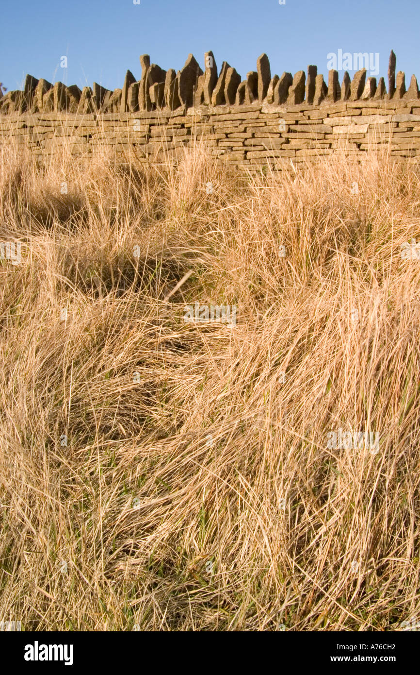 Cotswold Dry Stone Wall Birdlip Hill Near Cheltenham England Winter