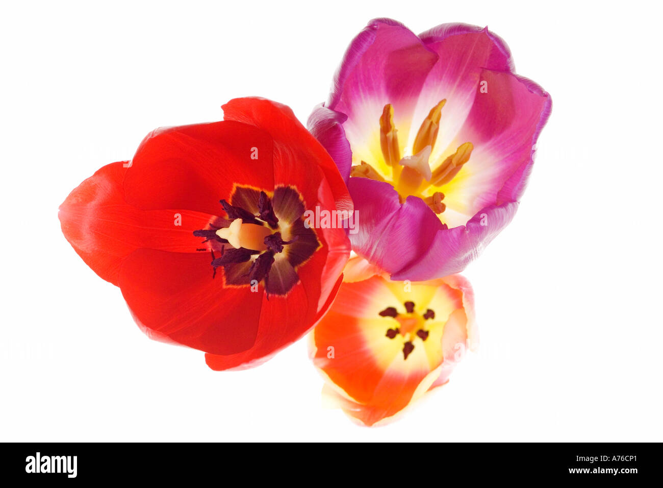 Abstract view on spring Cut Out Stock Images & Pictures - Alamy