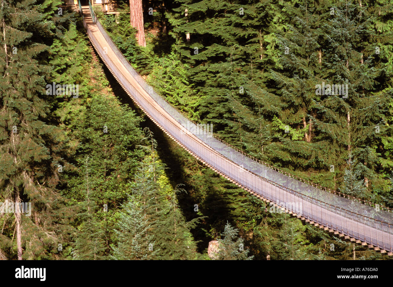 Capilano Bridge Vancouver Canada Stock Photo - Alamy