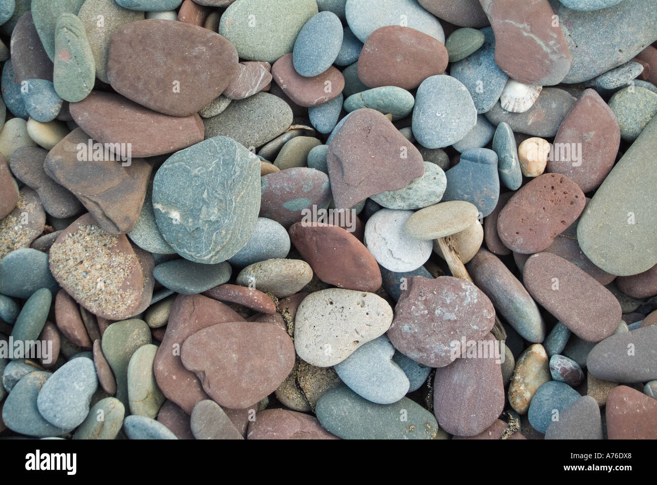 Pebbles on a Pembrokeshire Beach Stock Photo - Alamy