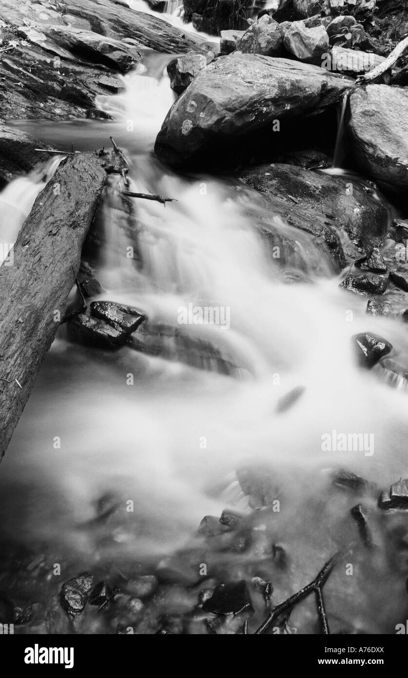 Quiet stream with rocks and wood, Amicolola State Park, North Georgia ...