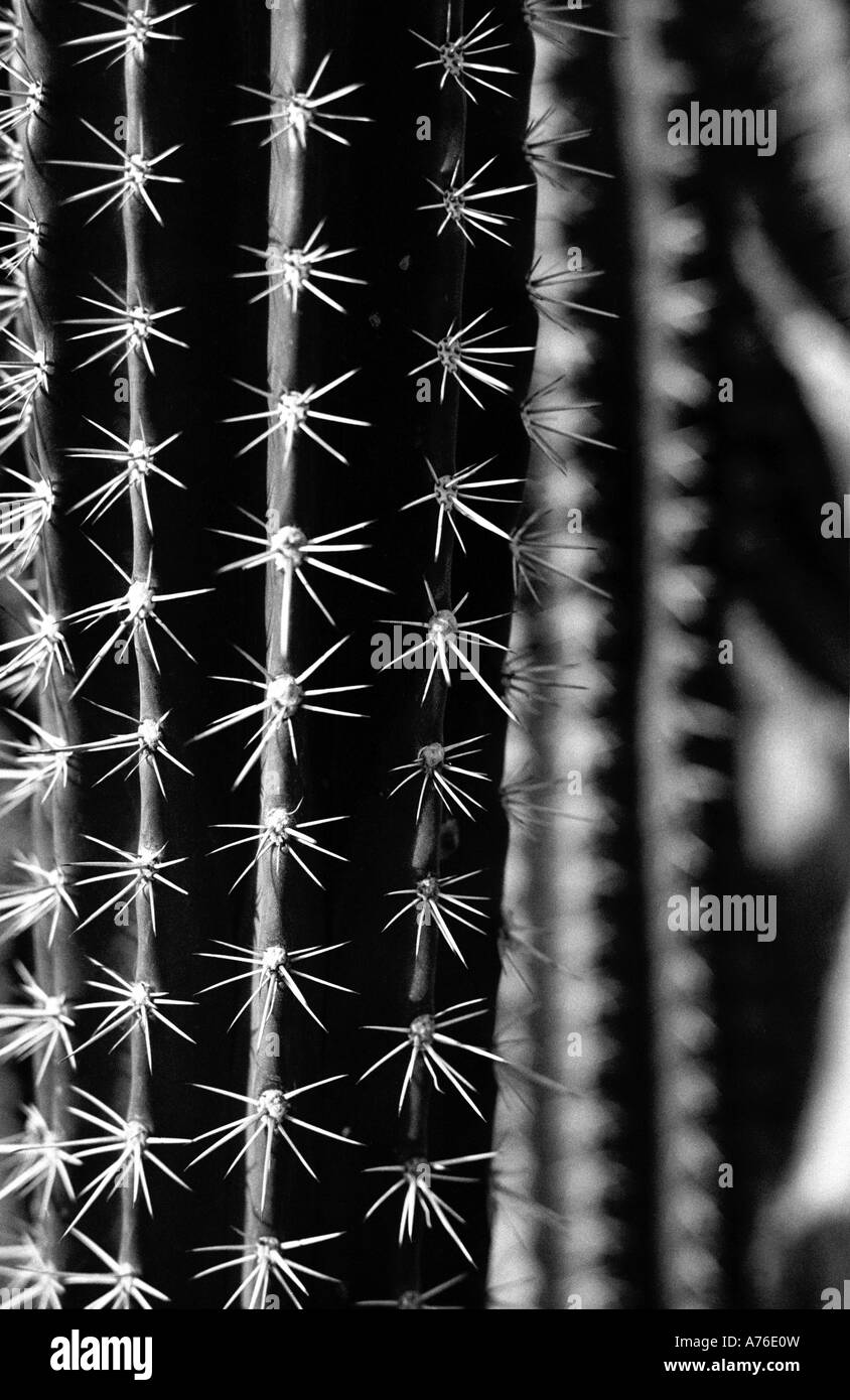 Study field Black and White Stock Photos & Images - Alamy