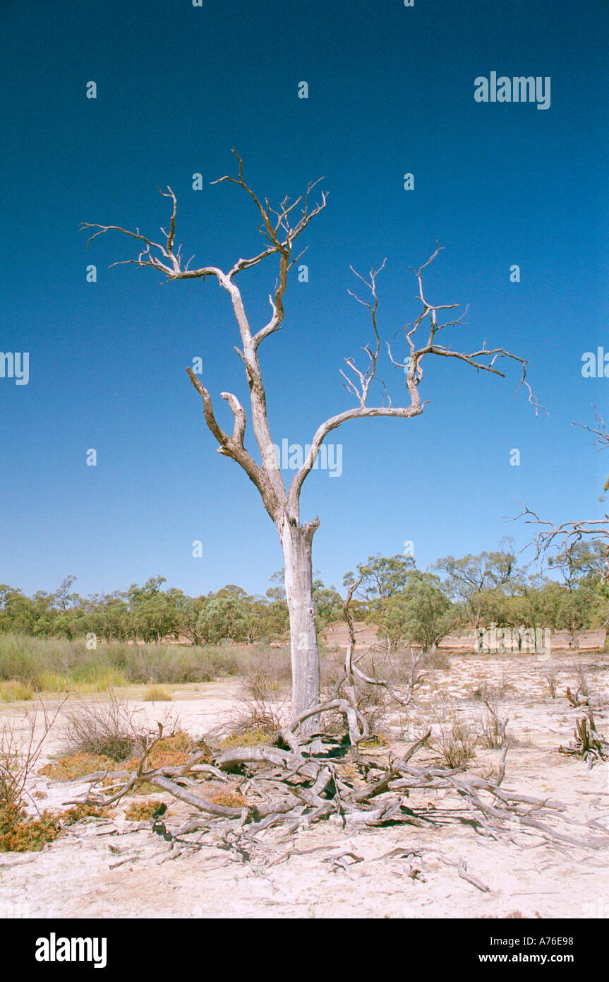Banrock station hi-res stock photography and images - Alamy