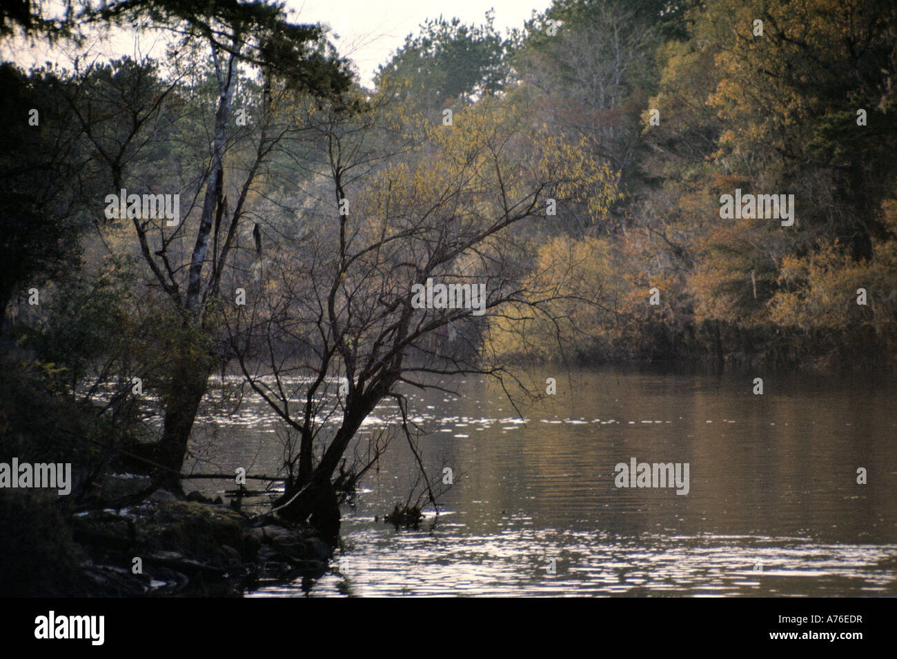 The Ashley River in Autumn, rural South Carolina, 1976 Stock Photo - Alamy